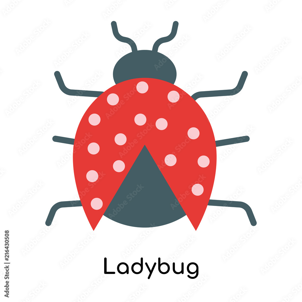 Ladybug icon vector sign and symbol isolated on white background ...