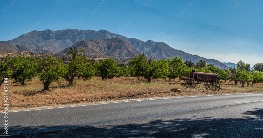 Topatopa Peak visible behind the fruit tree orchard of upper Ojai ...