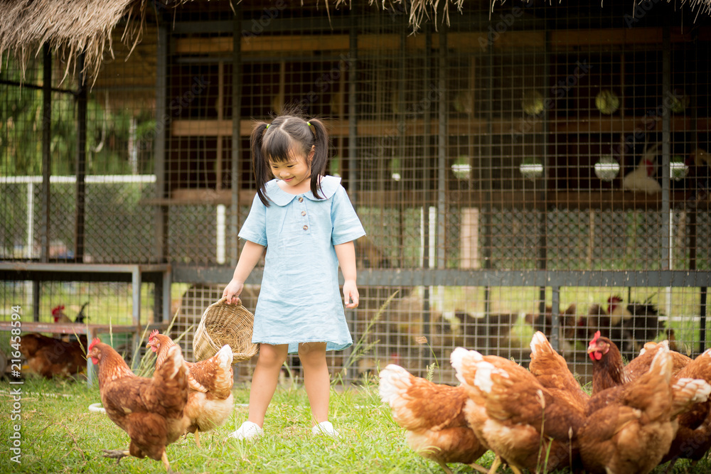 Happy little girl feeding chickens in front of chicken farm. Summer ...