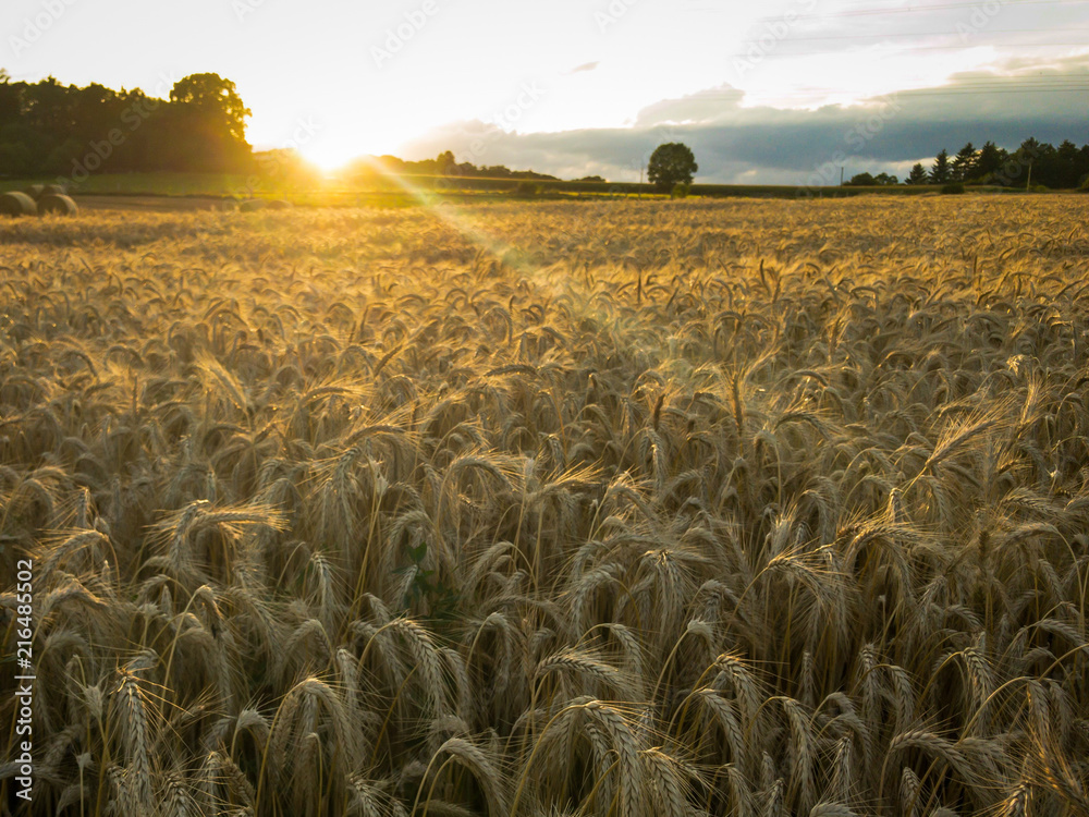 Roggen Feld bei Sonnenuntergang aus Brilon in Deutschland Stock-Foto ...