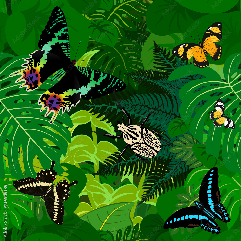 Rainforest Clipart Background