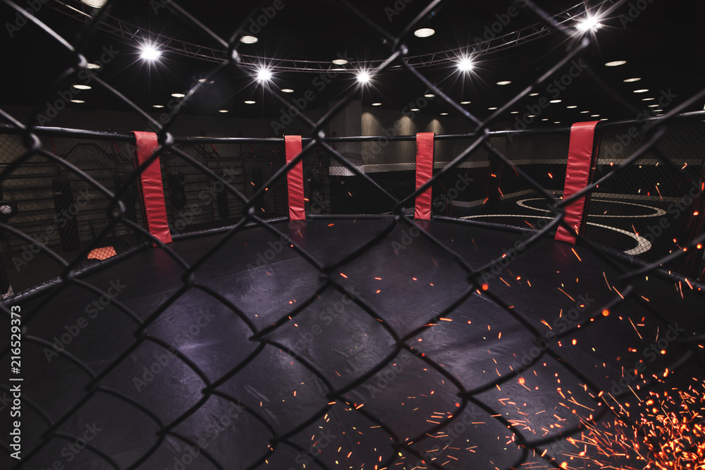 Foto De Mma Ring Do Stock Adobe Stock Foto De Mma Ring Do Stock Adobe Stock