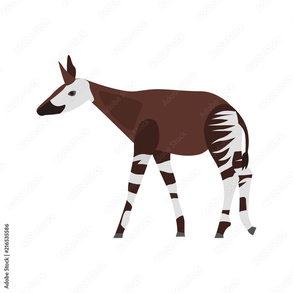 Okapi color vector icon. Flat design Stock Vector | Adobe Stock