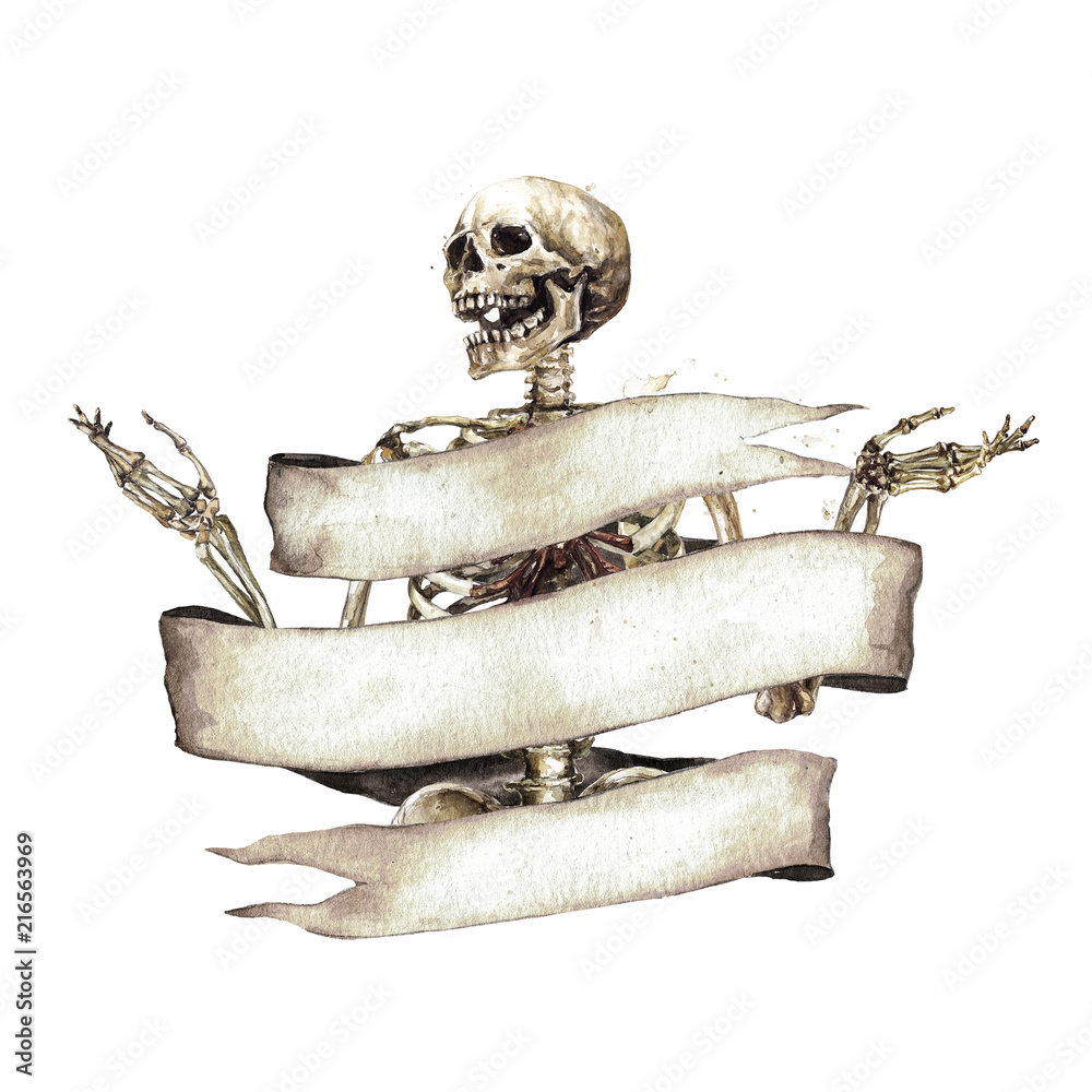 Human Skeleton decorated with ribbon banner. Watercolor Illustration ...