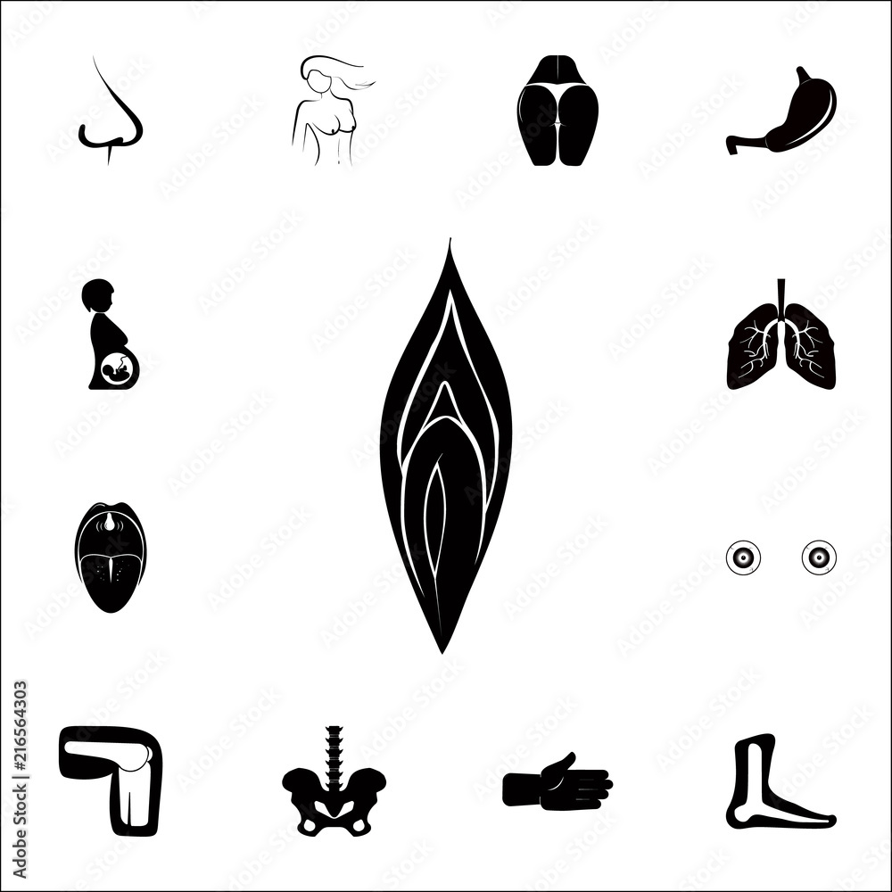female vagina icon. Detailed set of Human parts icons. Premium quality ...