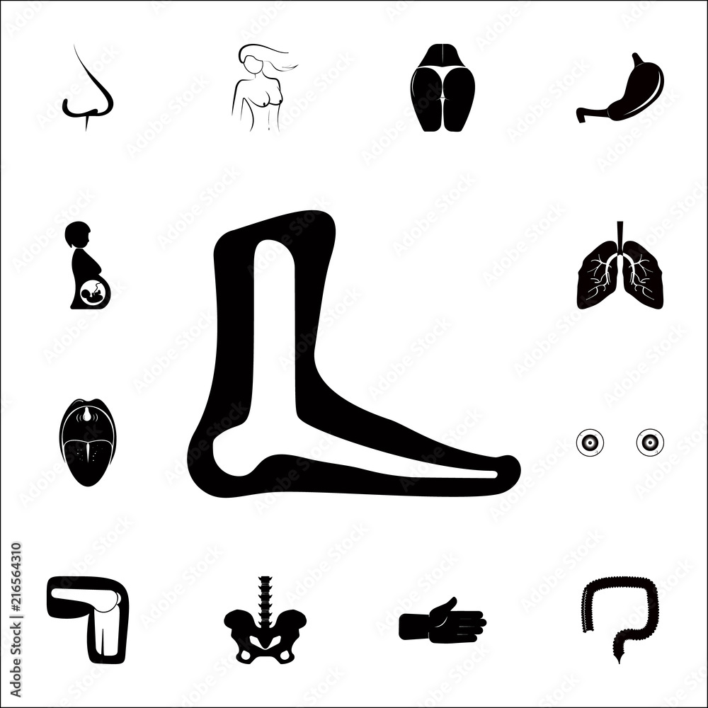 human leg icon. Detailed set of Human parts icons. Premium quality ...