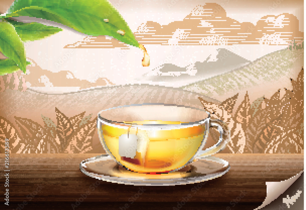 Green tea bag ads Stock Vector | Adobe Stock