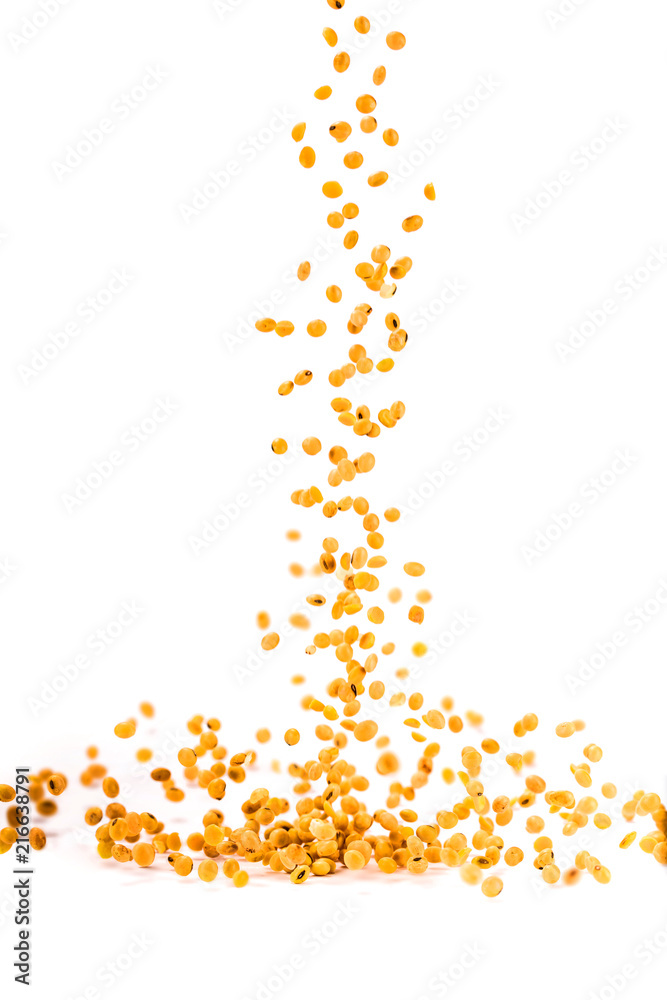 Stop motion soya beans splash or falling flying from the air on the ...