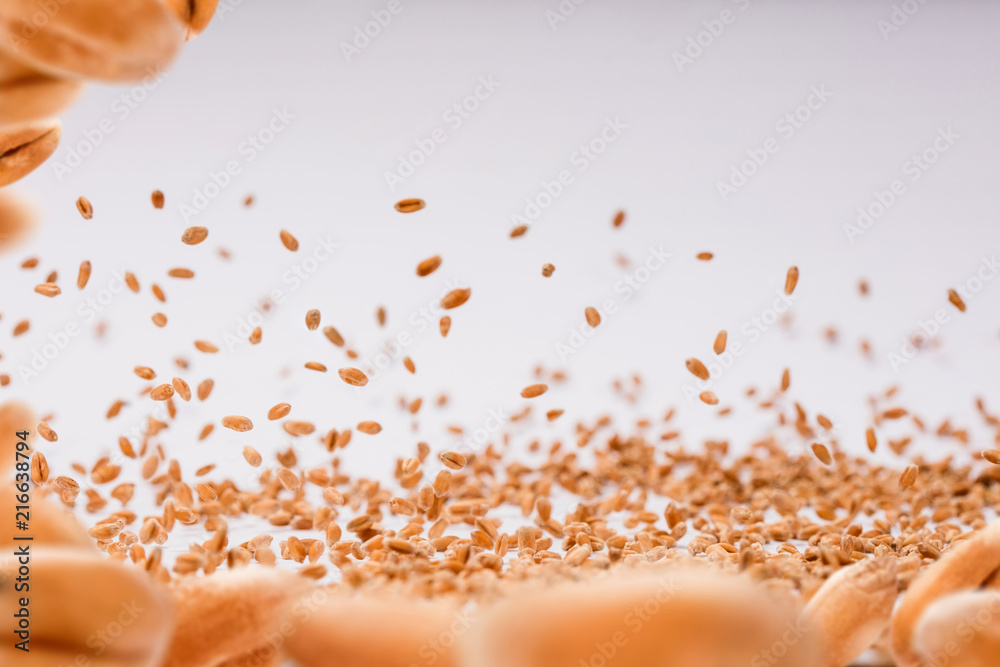 Stop motion wheat grains splash or falling flying from the air on the ...