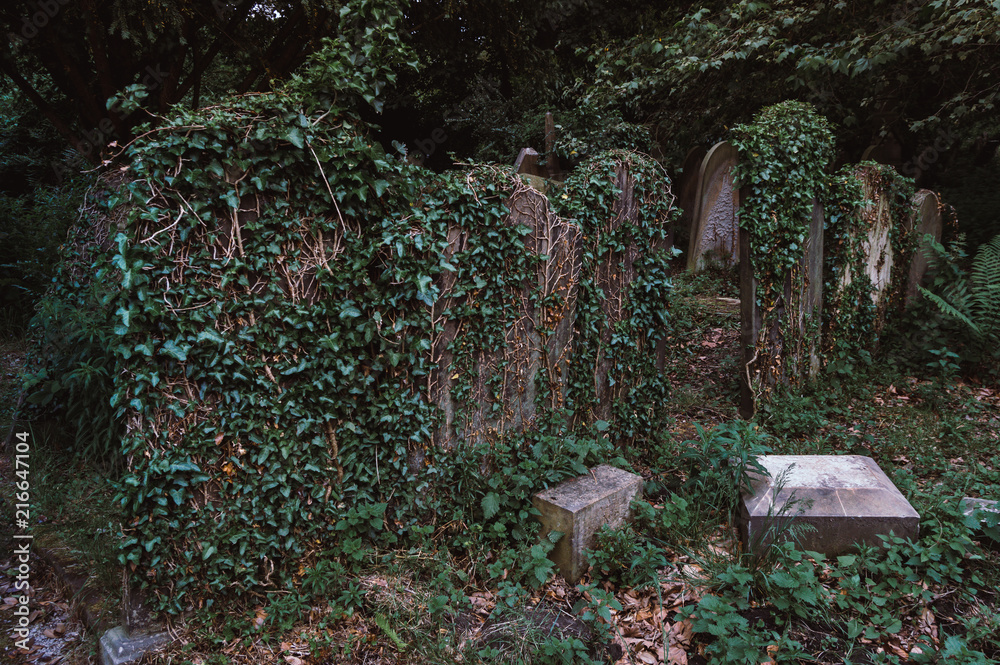 Dark cemetery in the forest full of abandoned tombs covered with plants ...