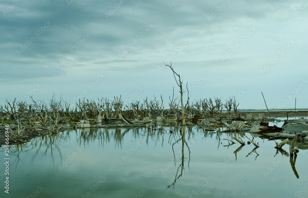 Foto de paisaje de pueblo inundado por lago salado y arboles ...