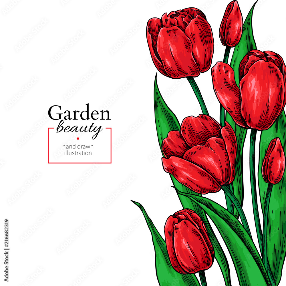 Tulip flower and leaves drawing border. Vector hand drawn floral frame ...