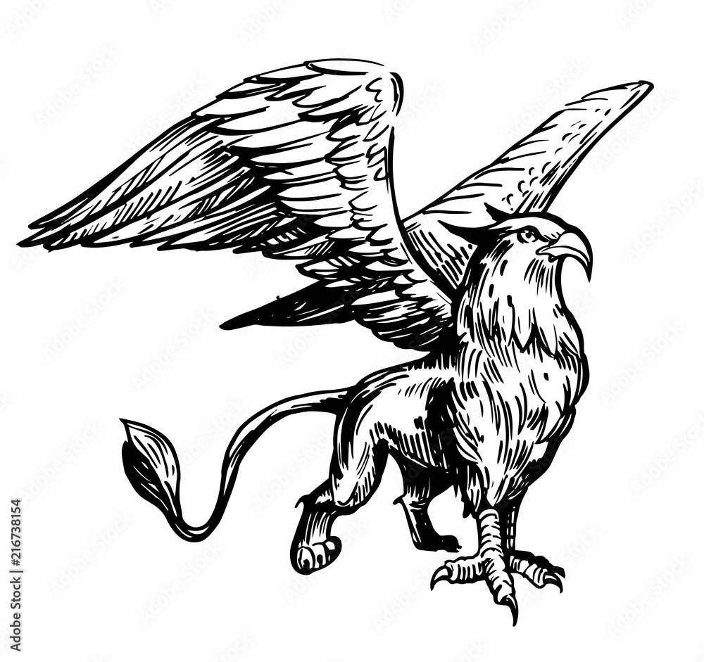 Griffin Drawings