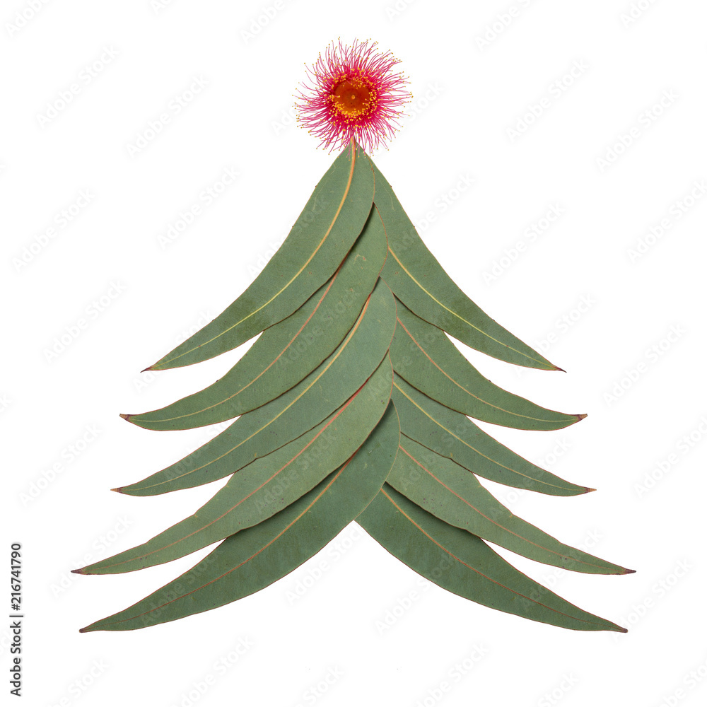 An Aussie Christmas tree made up of Australian gum tree leaves with a ...