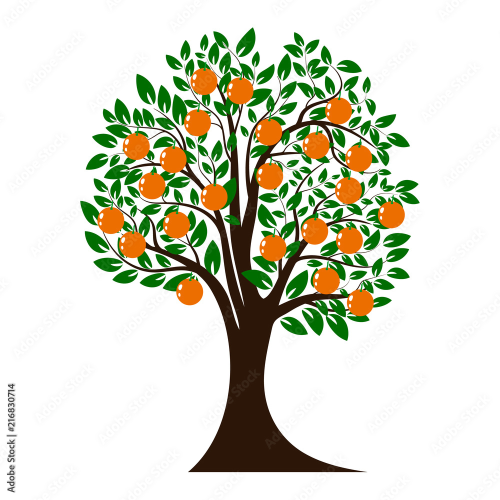 Fruit Tree Silhouette