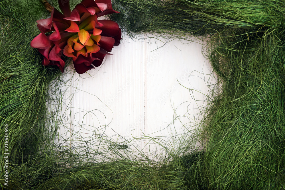 Fresh green grass texture border texture PNG file for your design edit ...