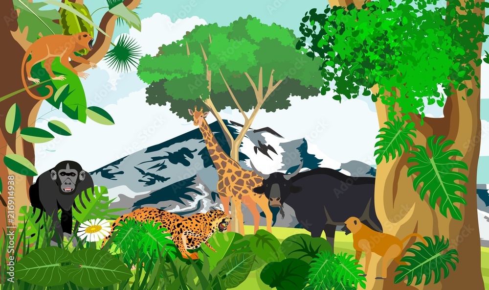 Rainforest In Africa Animals