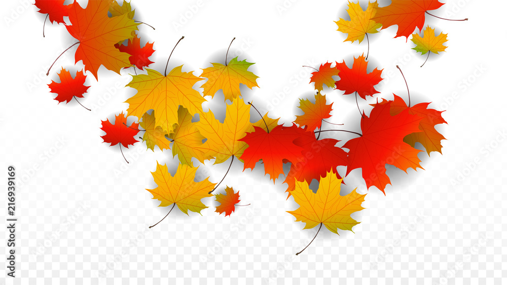 September Vector Background with Golden Falling Leaves. Autumn ...