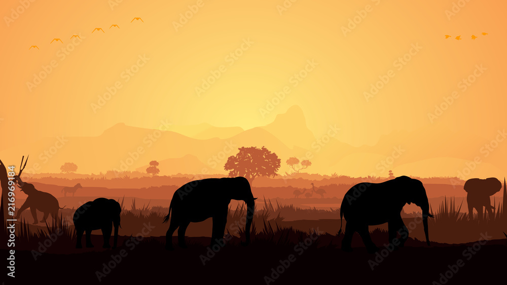 Wild animals silhouette wall mural wallpaper | Muraledesign.com