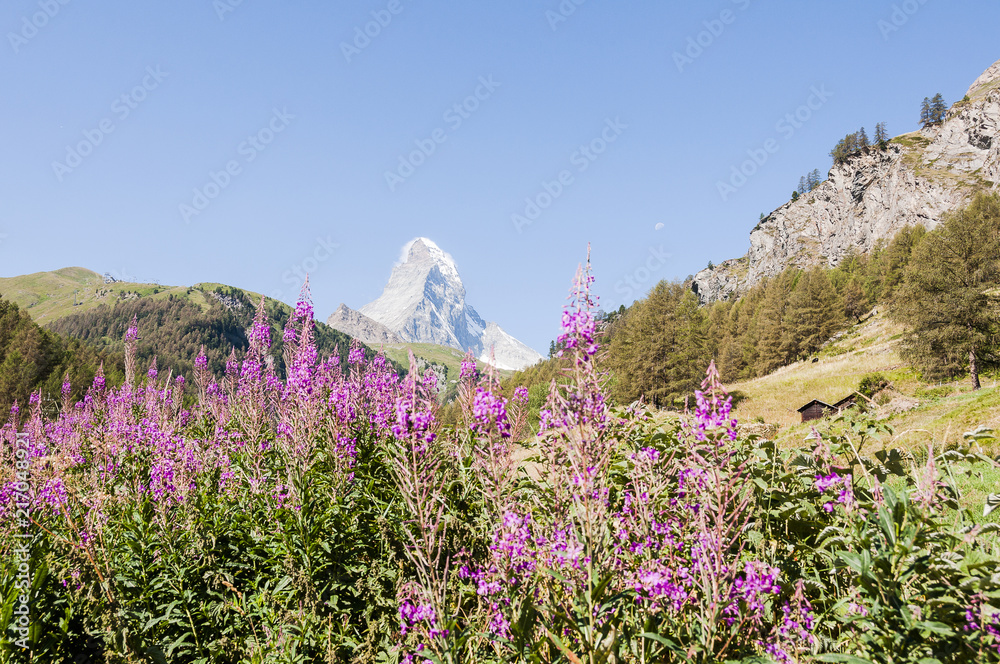 Zermatt, Furi, Zmutt, Zmuttbach, Matterhorn, Alpen, Wallis, Schweizer ...