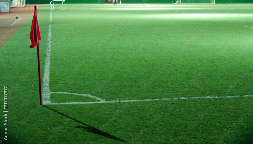 Football soccer field with white marks, green grass texture and red ...