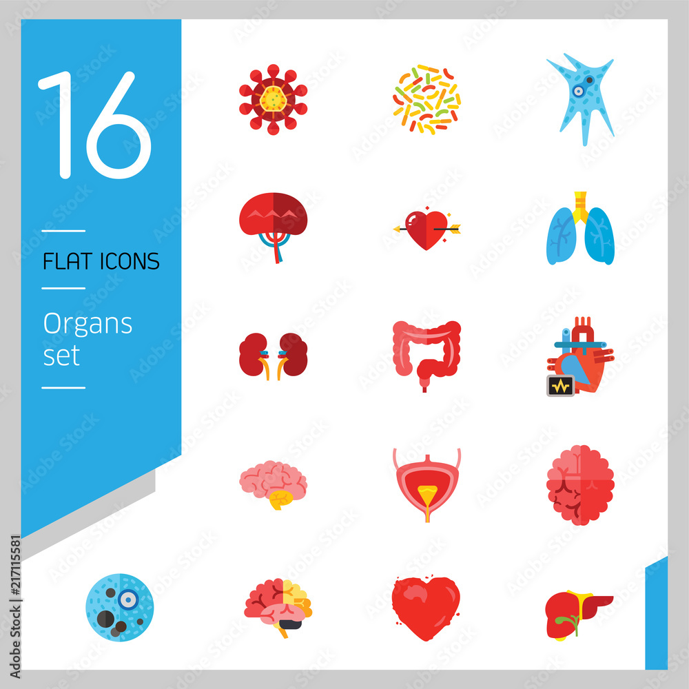 Organs Icon Set. Heart Brain Kidneys Liver Lungs Heart With Love Arrow ...