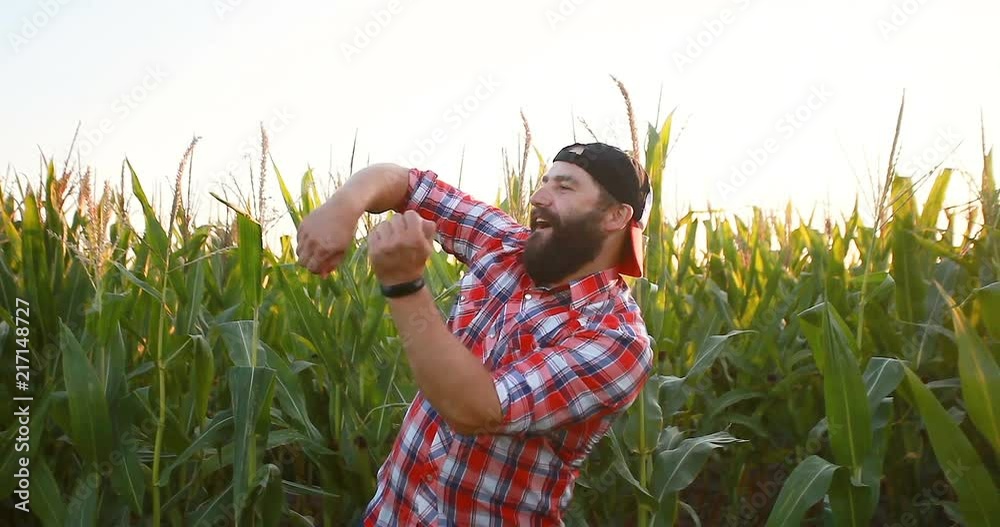 American farmer in cornfield. Farmer, close up of face in corn field ...
