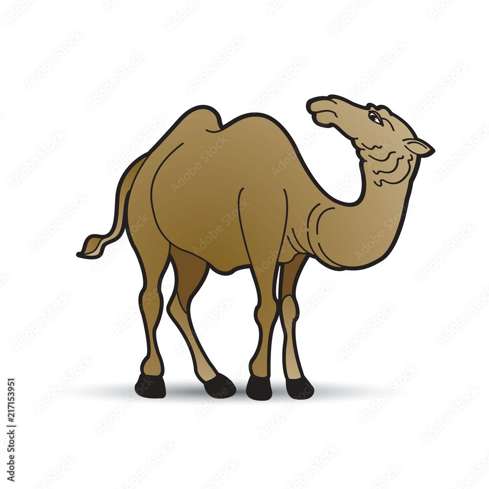 camel looking back side on smooth shadow vector drawing Stock Vector ...