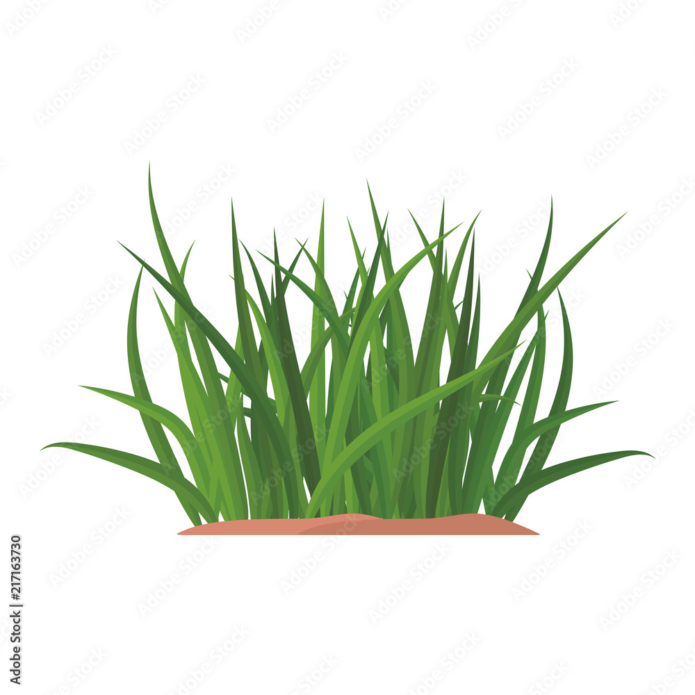 Bunches of green grass on an earthen mound. Design of summer cards ...
