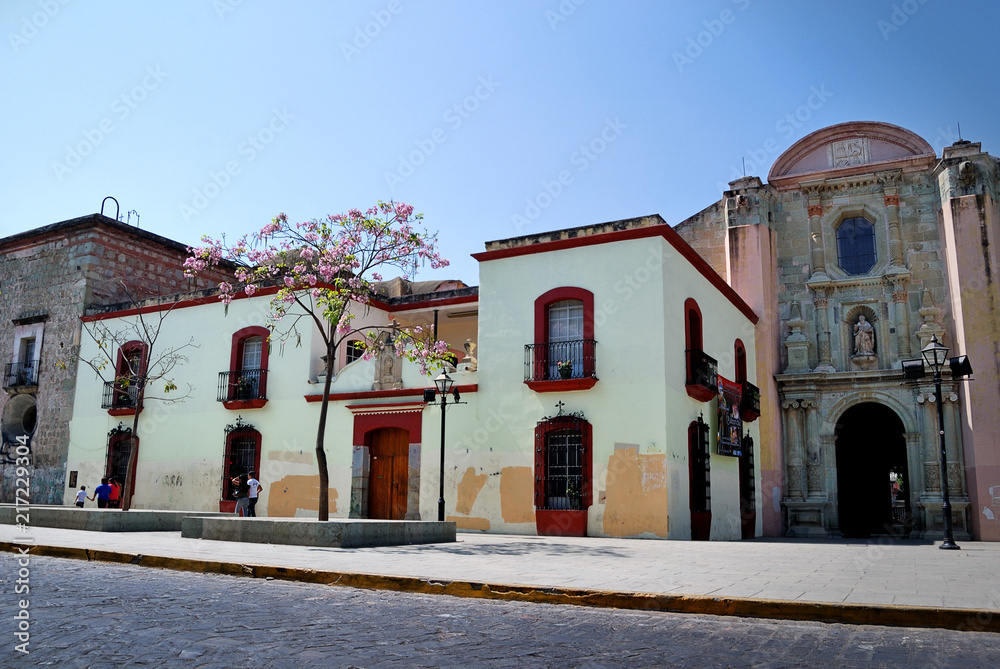 Centro Historico de Oaxaca Mexico Stock Photo | Adobe Stock