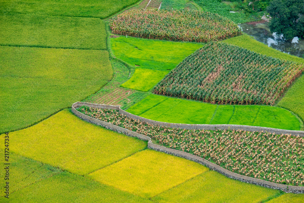 amazing landscape rice field on Bac Son, Viet Nam, above rice terraces ...