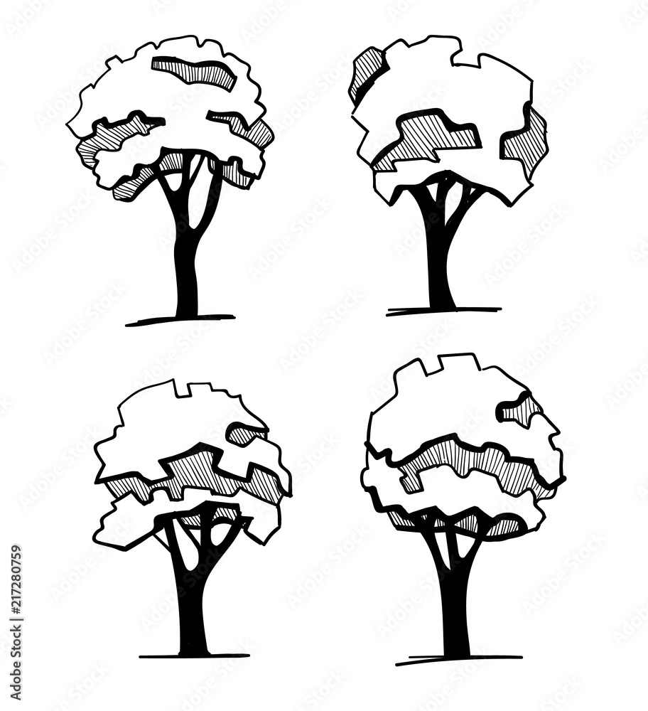 Trees for a landscape design. Different hand drawn trees isolated on ...