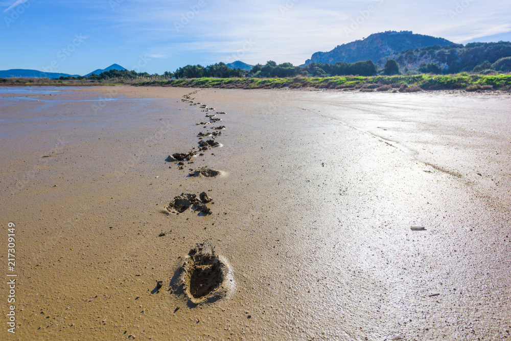Human footprints in mud and sand marsh in Gialova lagoon, Greece Stock ...