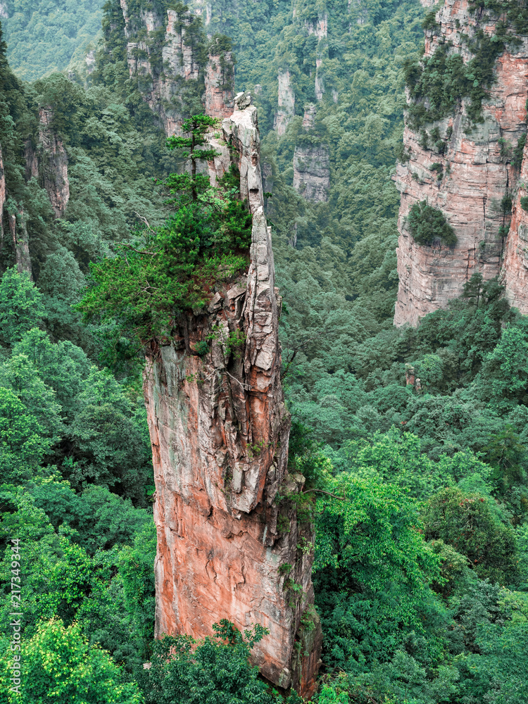 Tianzi Mountain column karst at Wulingyuan Scenic Area, Zhangjiajie ...