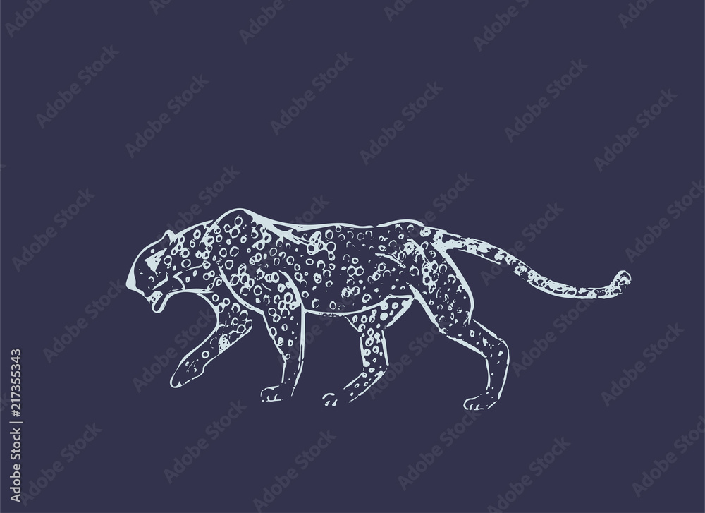 Cheetah. Hand drawn ink sketch. Horizontal drawing. Vector engraving ...