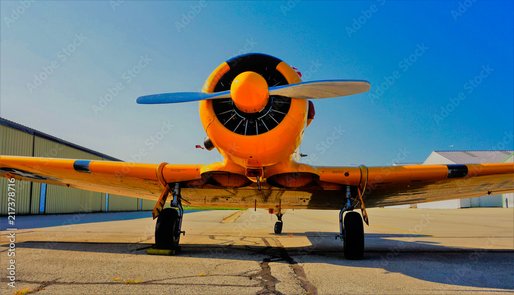 Antique Aircraft - War Bird - Propeller Aircraft Stock Photo | Adobe Stock