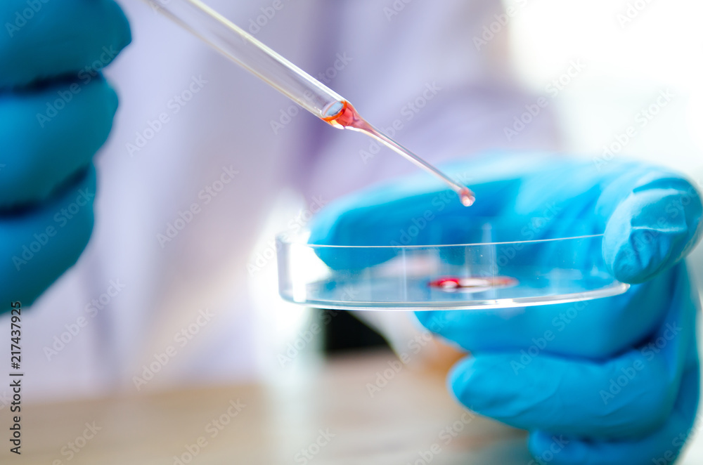 Vacutainer or test tube in lab on table Stock Photo | Adobe Stock