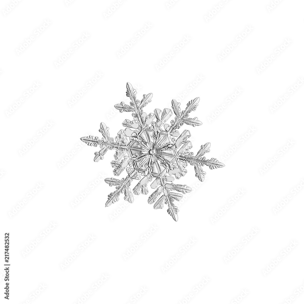 Snowflake isolated on white background. Macro photo of real snow ...