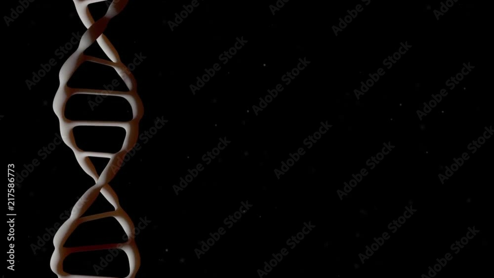 Realistic DNA. Rotating DNA. Genetic engineering scientific concept ...