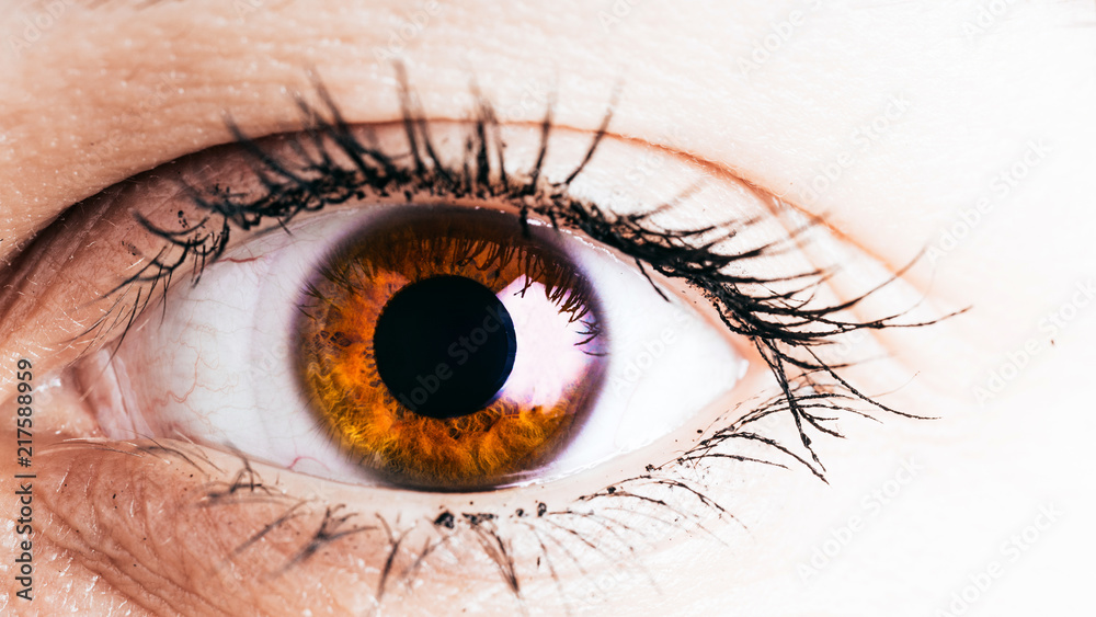 Women's eyes without makeup and makeup, with a lens on the eyeball ...