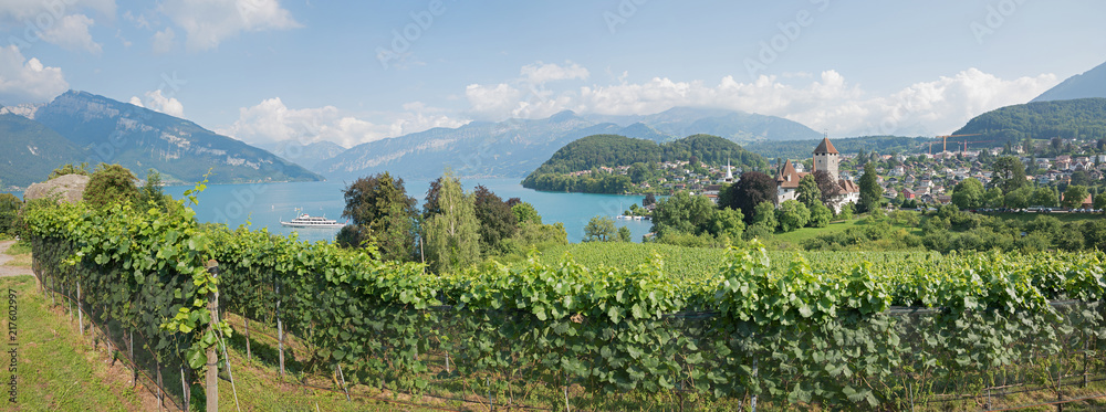 idyllische Schweizer Landschaft mit Rebberg und Burgblick Spiez, Berner ...