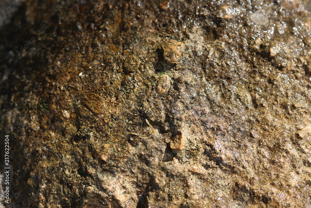 Moon Rock texture Stock Photo | Adobe Stock