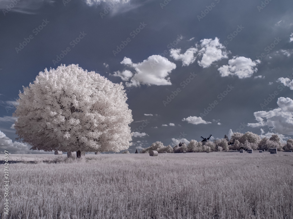 infrared photography - ir photo of landscape with tree under sky with ...