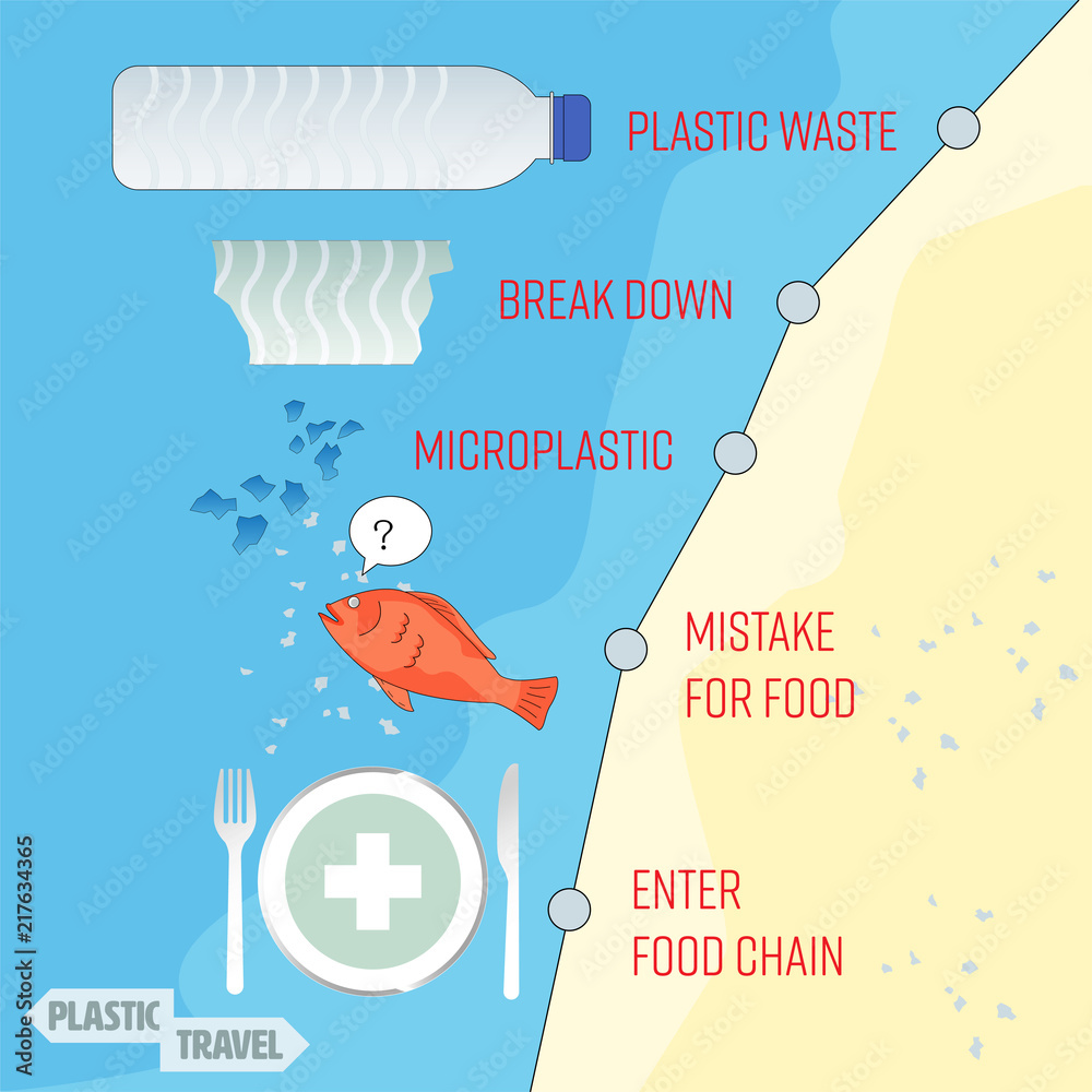 Infographic of plastic travel. Impact of microplastic in marine ecosystem concept. Vector ...
