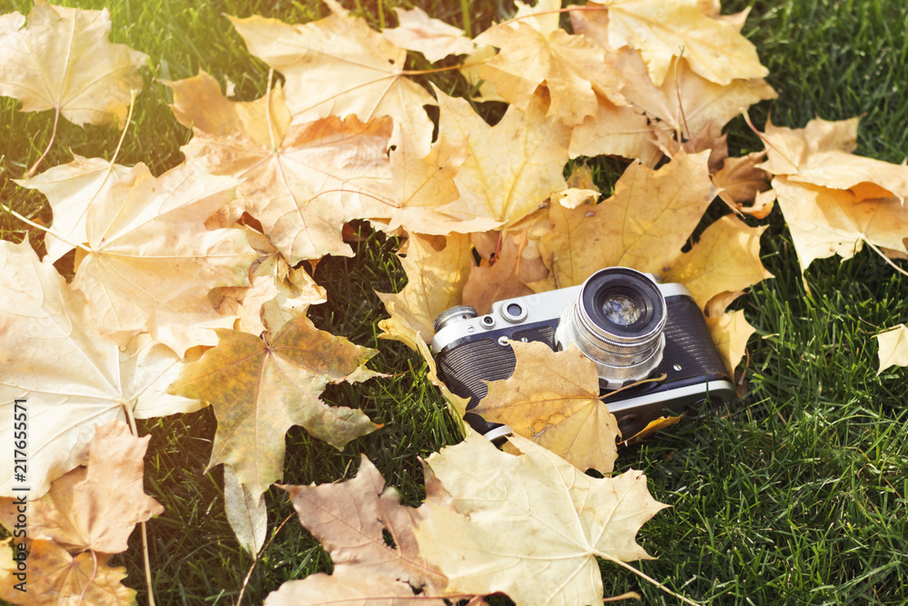 Retro camera on the lawn with yellow autumn leaves. Concept of b Stock ...