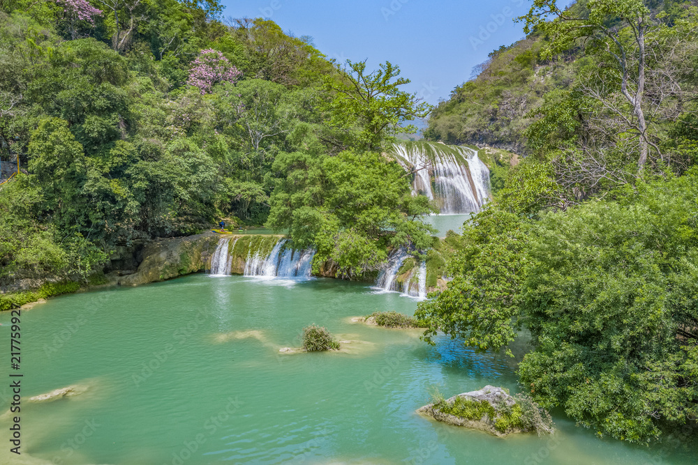 Amazing crystalline Blue water of Micos Waterfalls at Huasteca Potosina ...