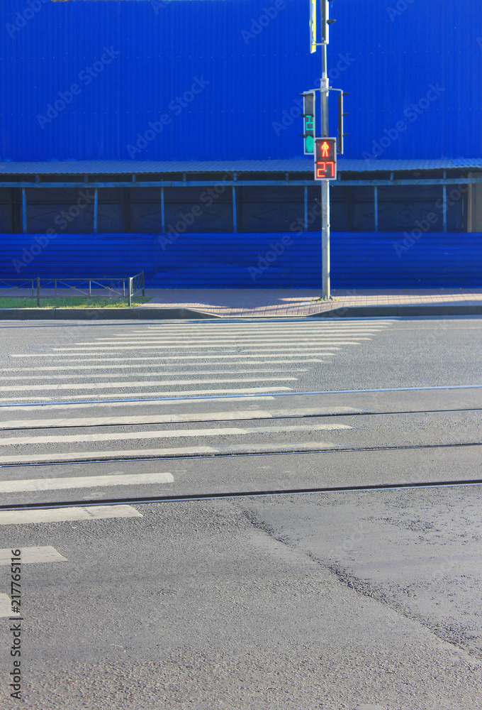 Pedestrian Crosswalk with Traffic Light on City Street. Empty Crosswalk ...