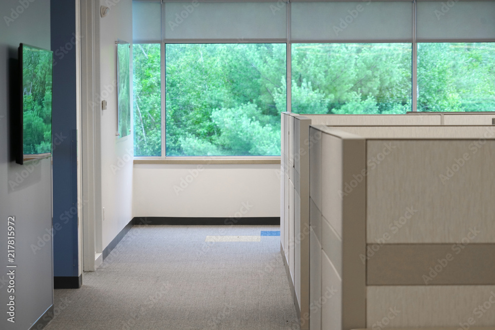 cubicles inside office building with green trees outside the window ...