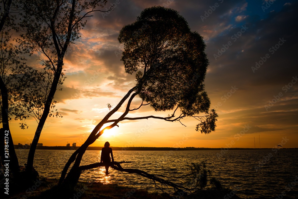 Sitting Under A Tree Sunset