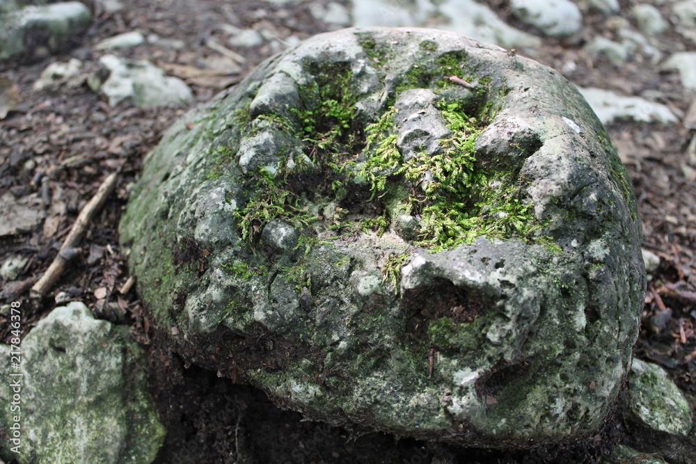 Mech Stock Photo | Adobe Stock